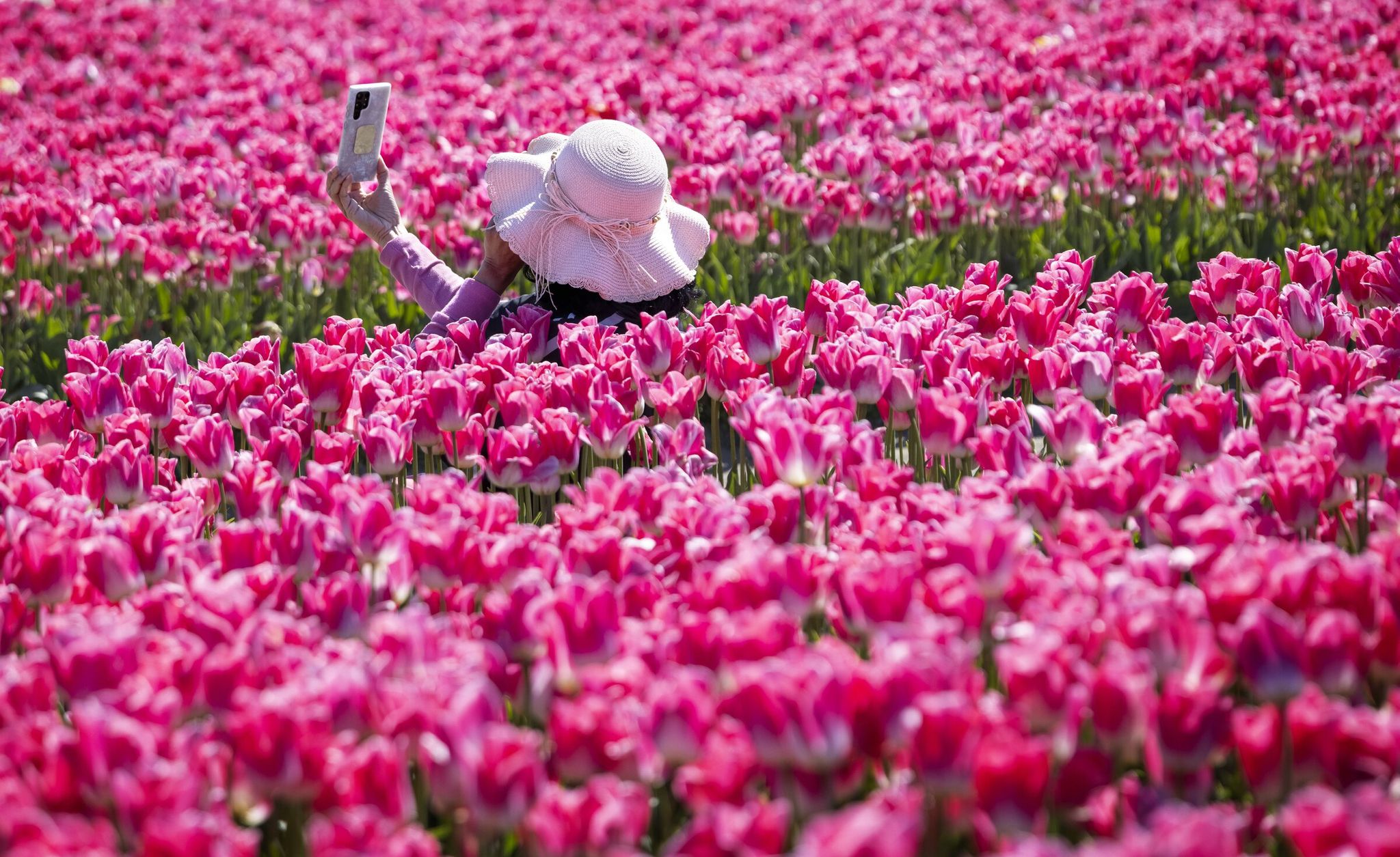 What to do in Seattle this spring: 10 bucket list items | The Seattle Times