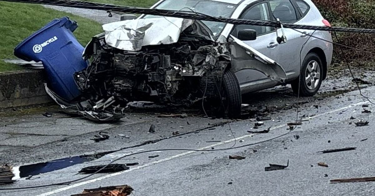 Power restored for hundreds after Bothell crash downed power poles ...