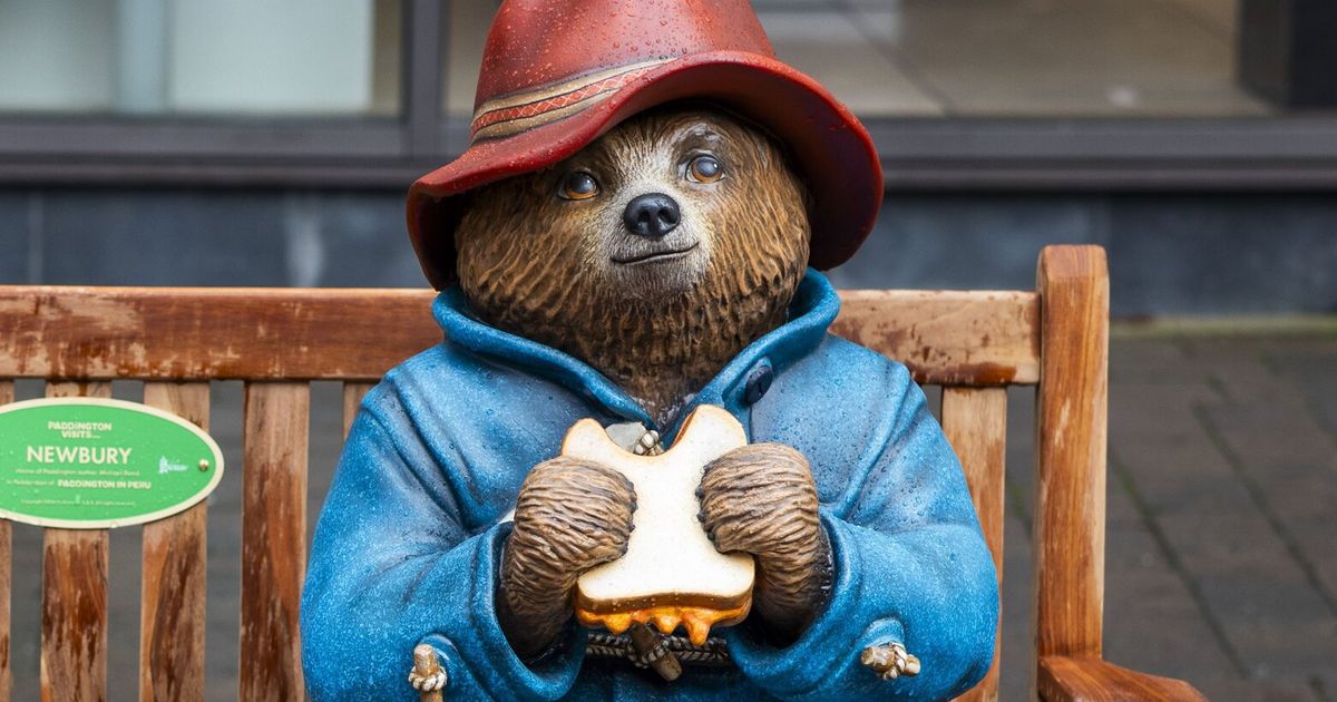 Paddington returns to his bench. Order is restored. | The Seattle Times