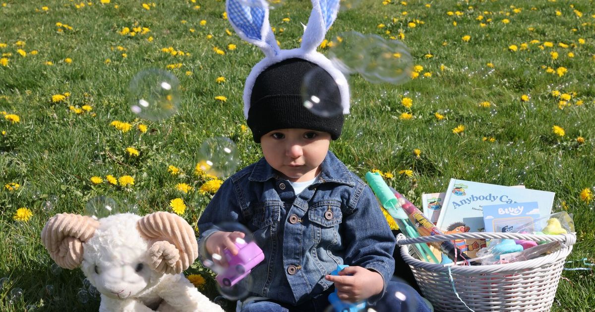 Where to celebrate Easter 2025: Seattle-area egg hunts and more | The ...