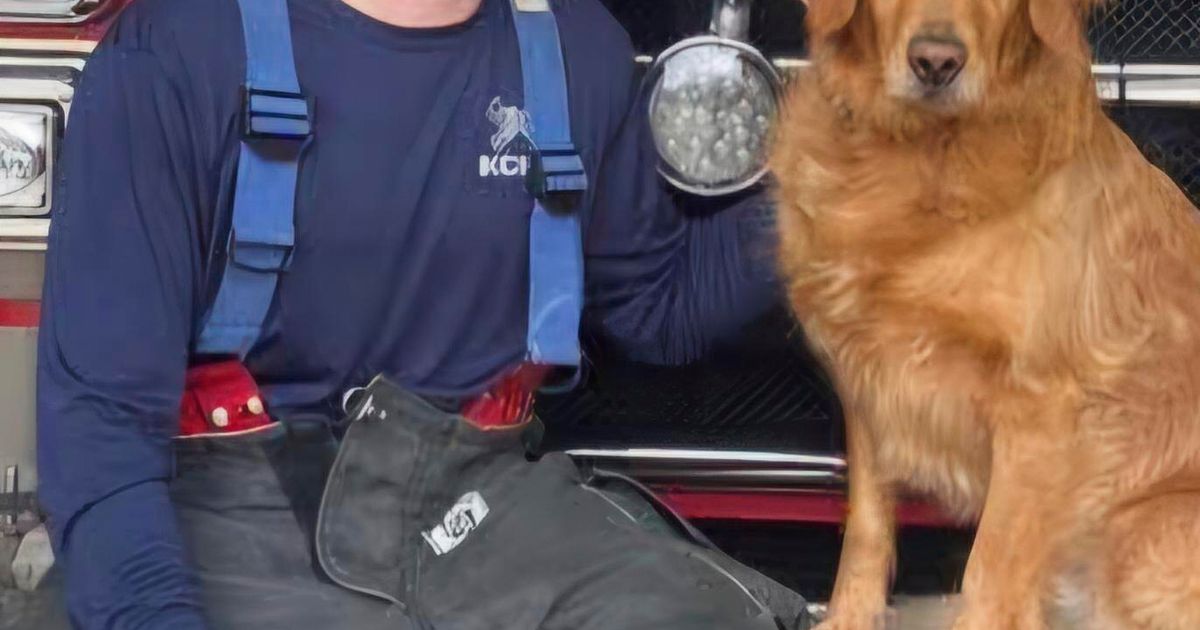 Woman charged with murder in stabbing of a paramedic during ambulance ...
