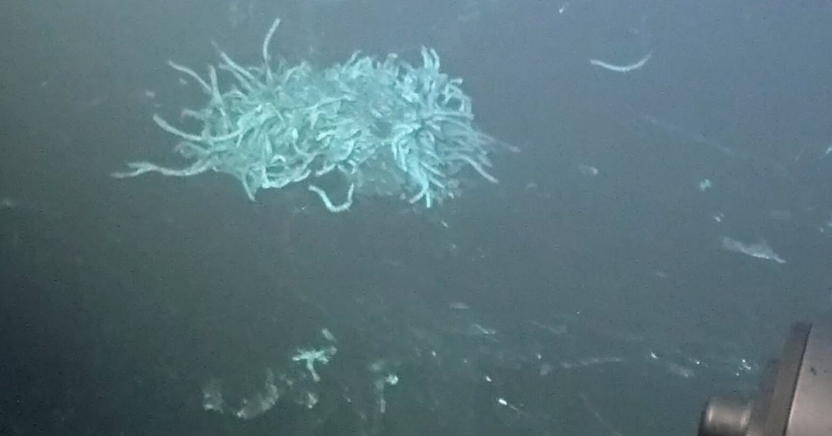 Volcanic eruption in deep ocean ridge seen by scientists for first time ...