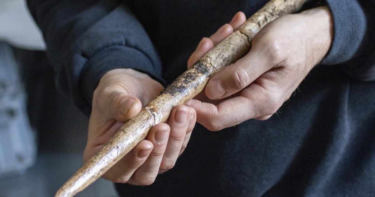 Scientists date the oldest known tools made from whale bones to 20,000 ...