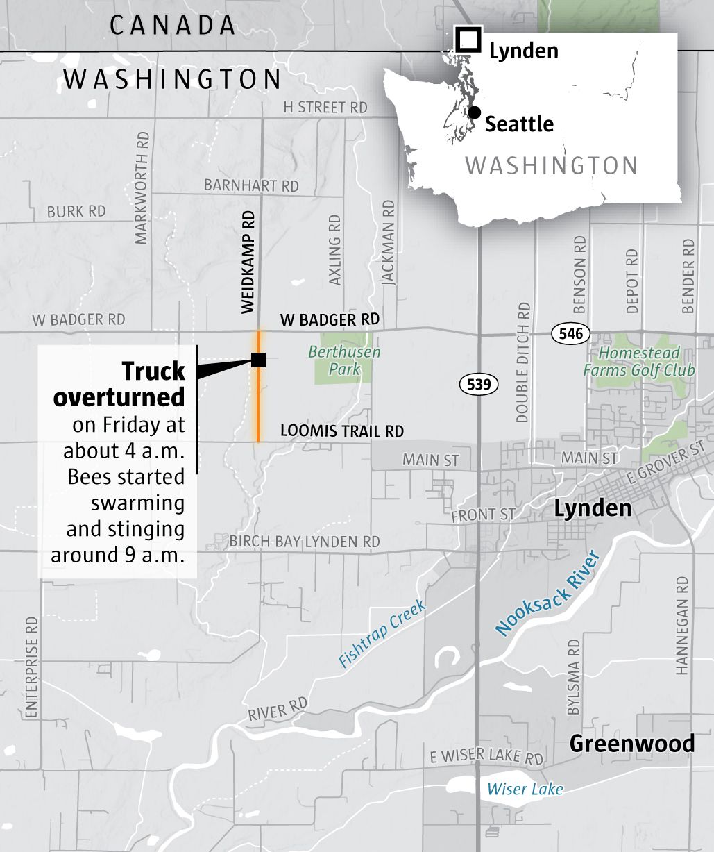 Millions of bees escape, start stinging after crash in Whatcom County ...