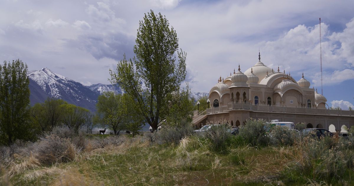 From radio waves to temple domes: The unexpected journey of a Krishna ...