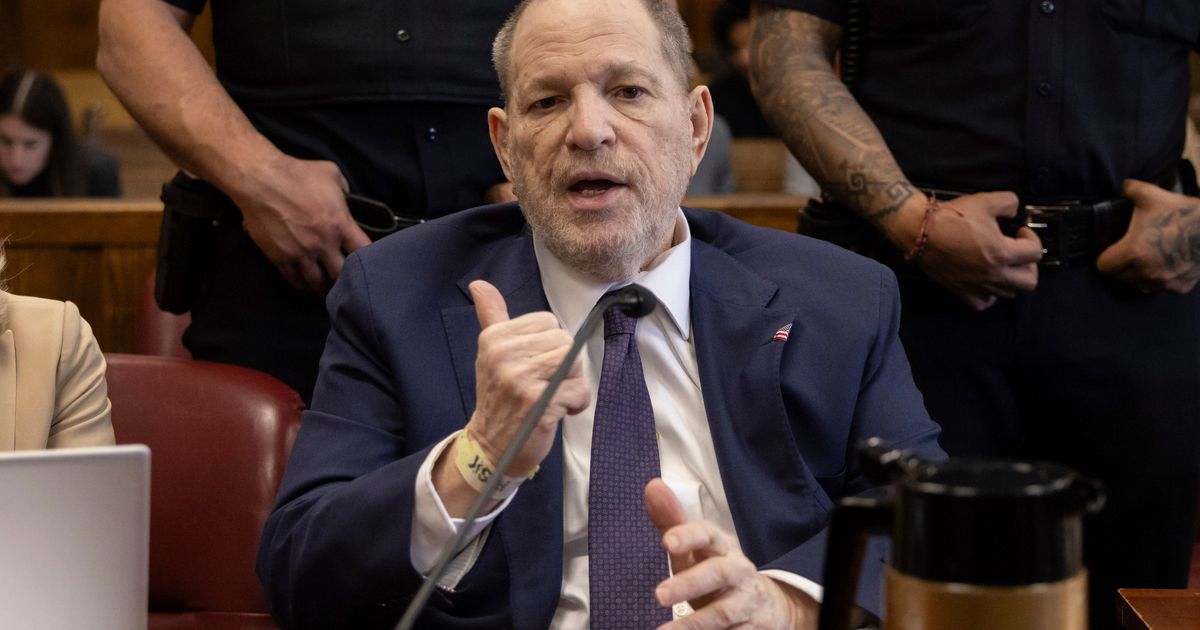 Ex-model takes the stand in Harvey Weinstein’s retrial. The prior jury ...
