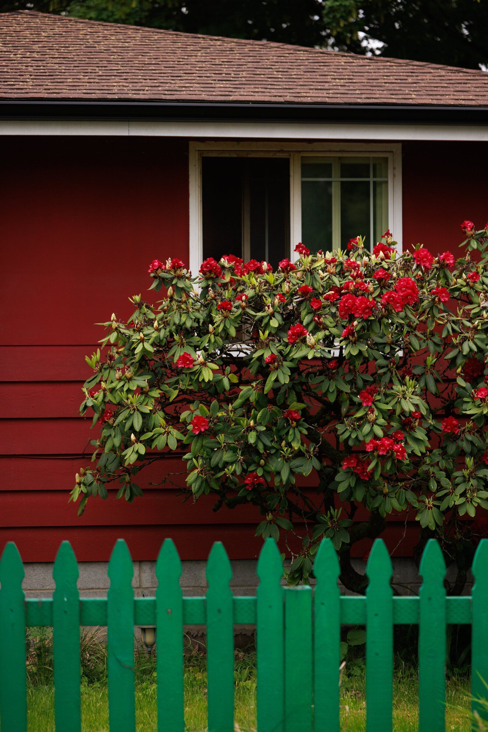 Will flooding force Seattle’s South Park residents to leave? | The ...