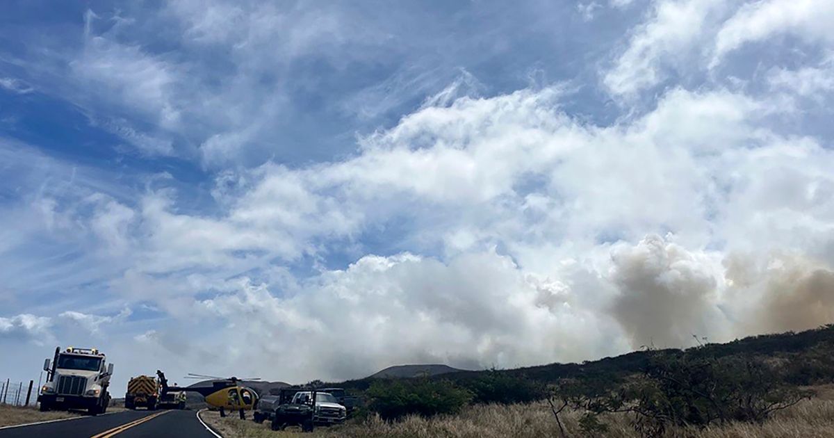 Fast-moving brush fire on Hawaii’s Maui island evacuates about 50 ...