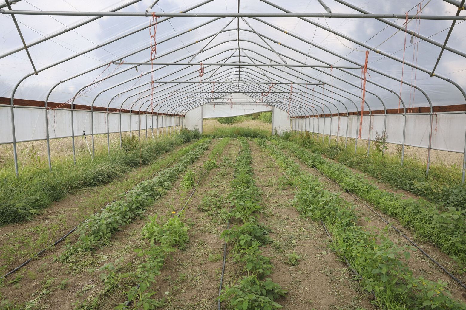 Change has come to Carnation Farms, which is still a beacon for big ...