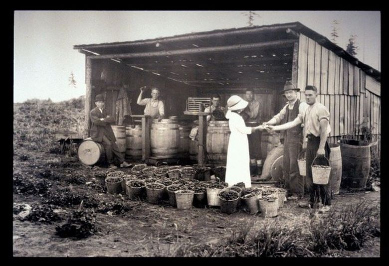 Vashon berry farm preserves its Japanese American history with new life ...