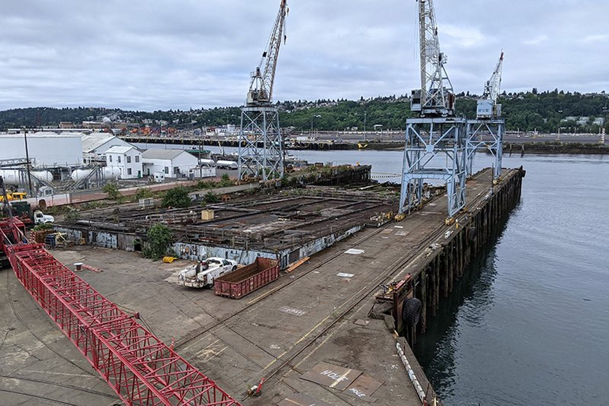 Seattle’s new waterfront is alive — if you know where to look | The ...