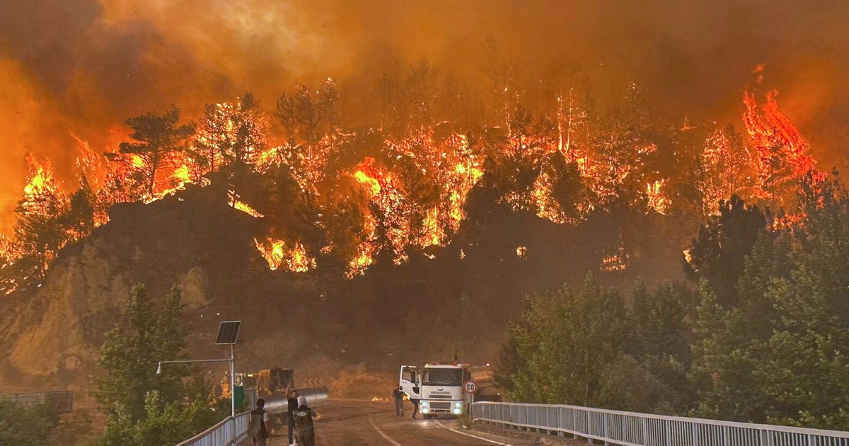 Wildfire kills 10 firefighters and rescue workers in Turkey | The ...