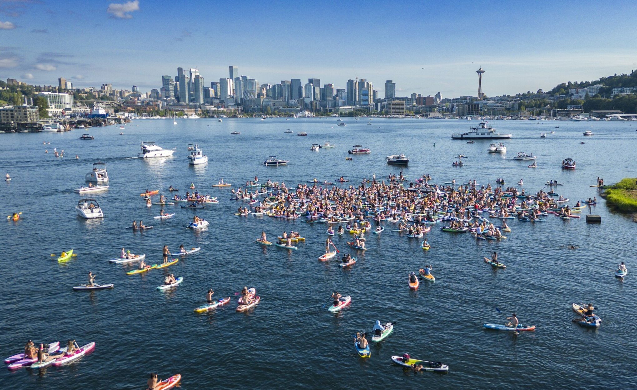 Crowds of paddleboarders are flocking to Lake Union — here’s why | The ...