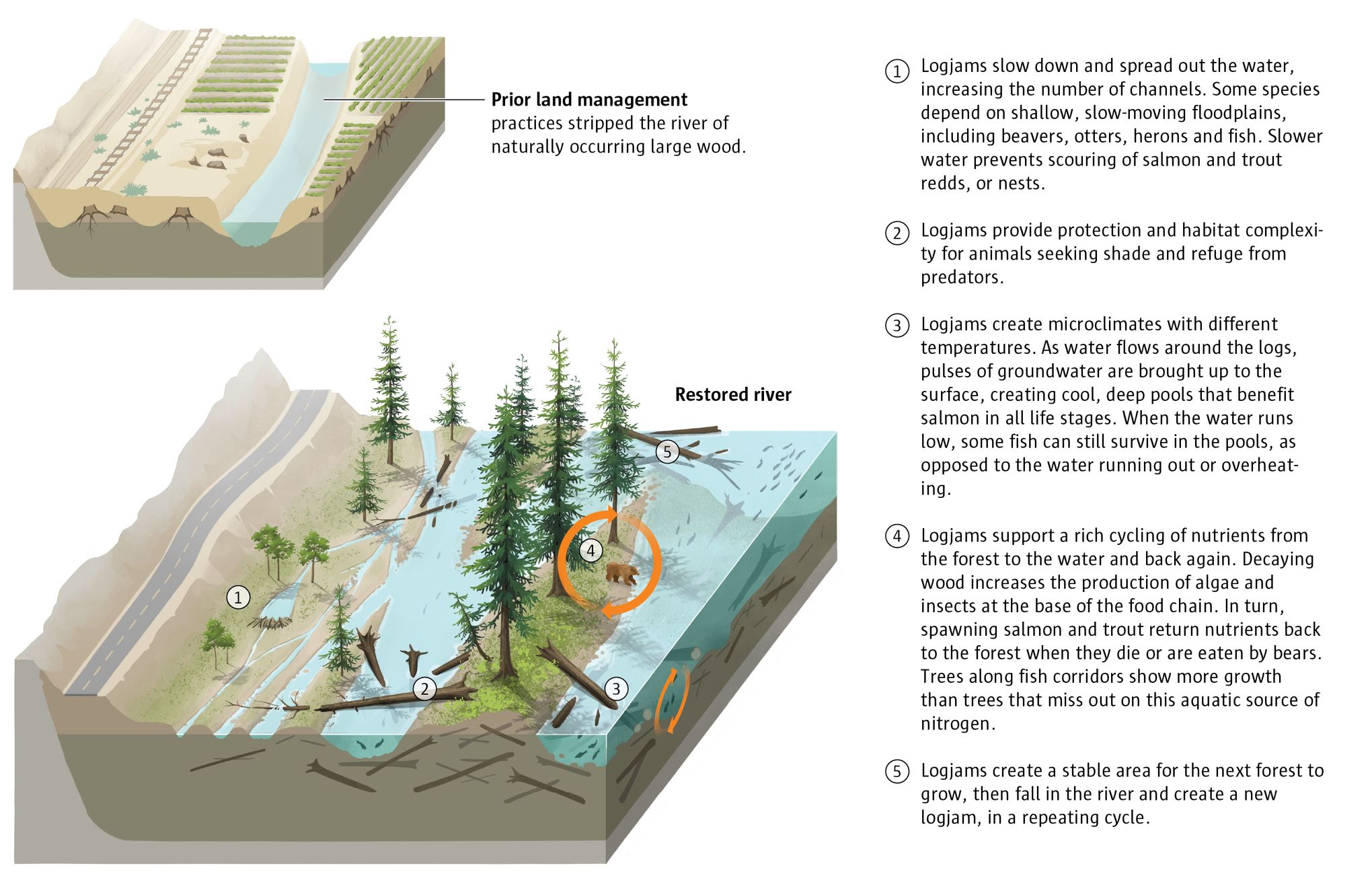 How the Tulalip Tribes are using a helicopter to restore a salmon river ...