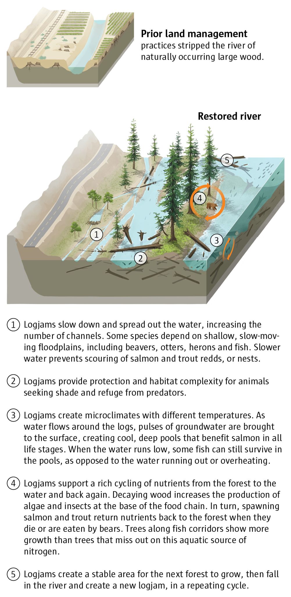 How the Tulalip Tribes are using a helicopter to restore a salmon river ...