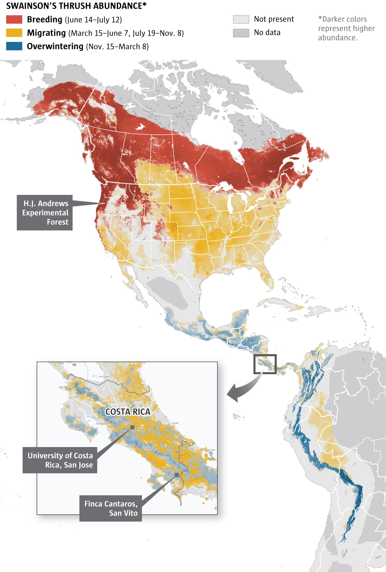 Inside the perilous journey of a familiar Northwest summer bird | The ...