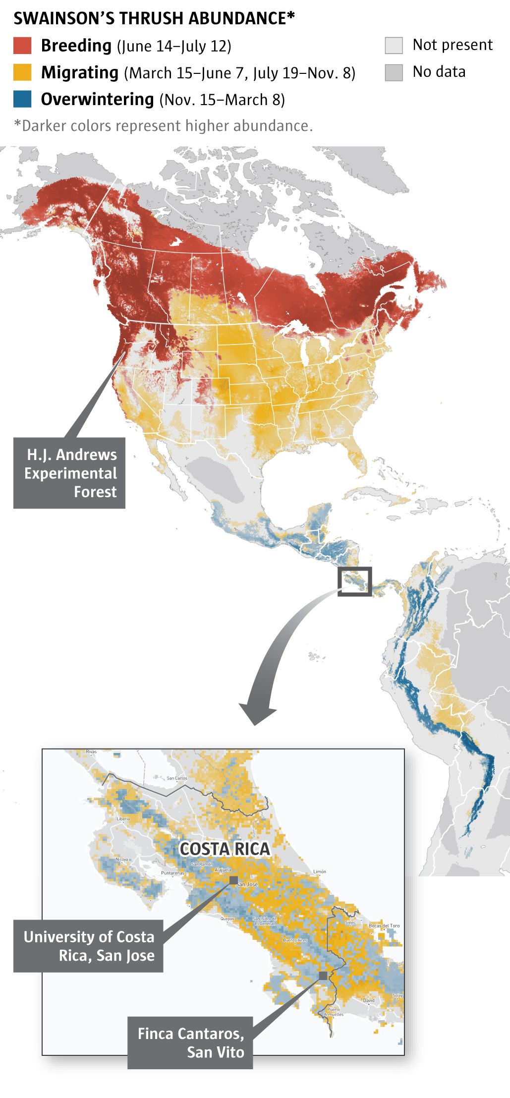 Inside the perilous journey of a familiar Northwest summer bird | The ...