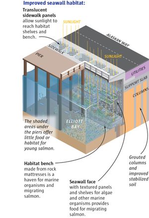 Seattle’s new waterfront is alive — if you know where to look | The ...