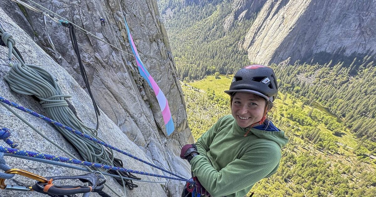Yosemite biologist who hung trans pride flag from El Capitan is fired ...