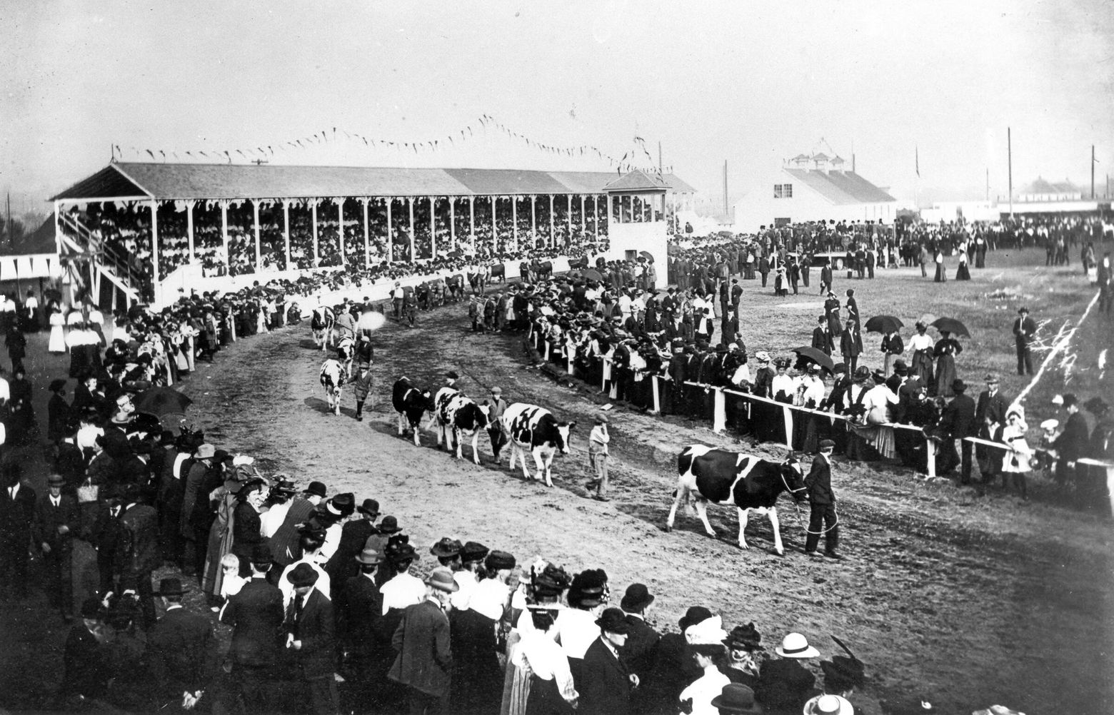 Washington State Fair: What it means to ‘Do the Puyallup’ for 125 years ...