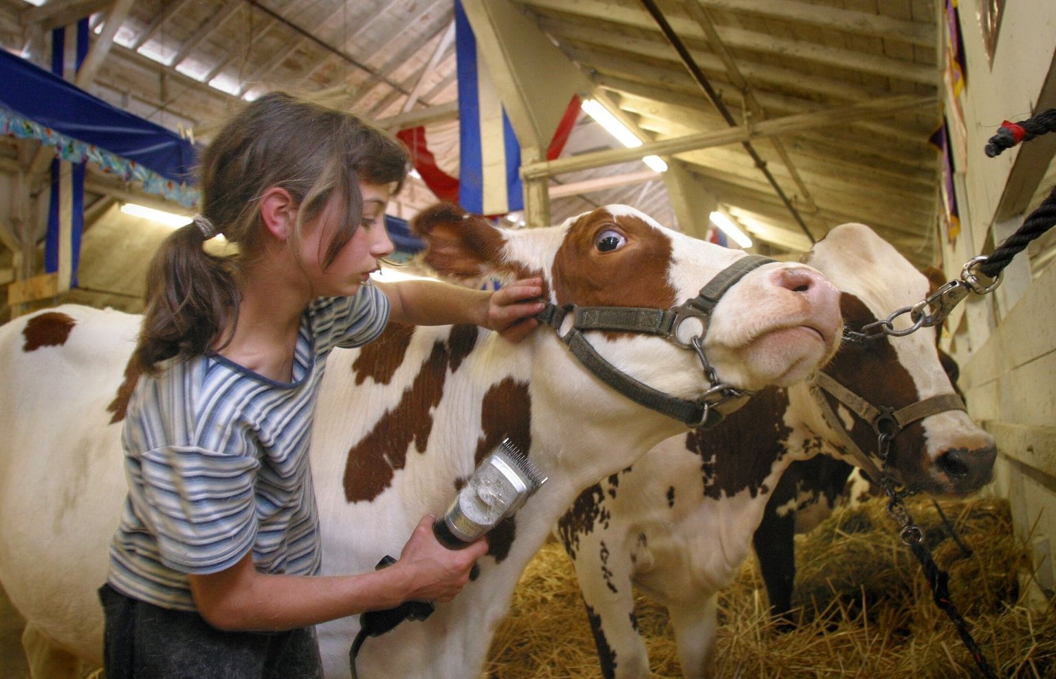 Washington State Fair: What it means to ‘Do the Puyallup’ for 125 years ...