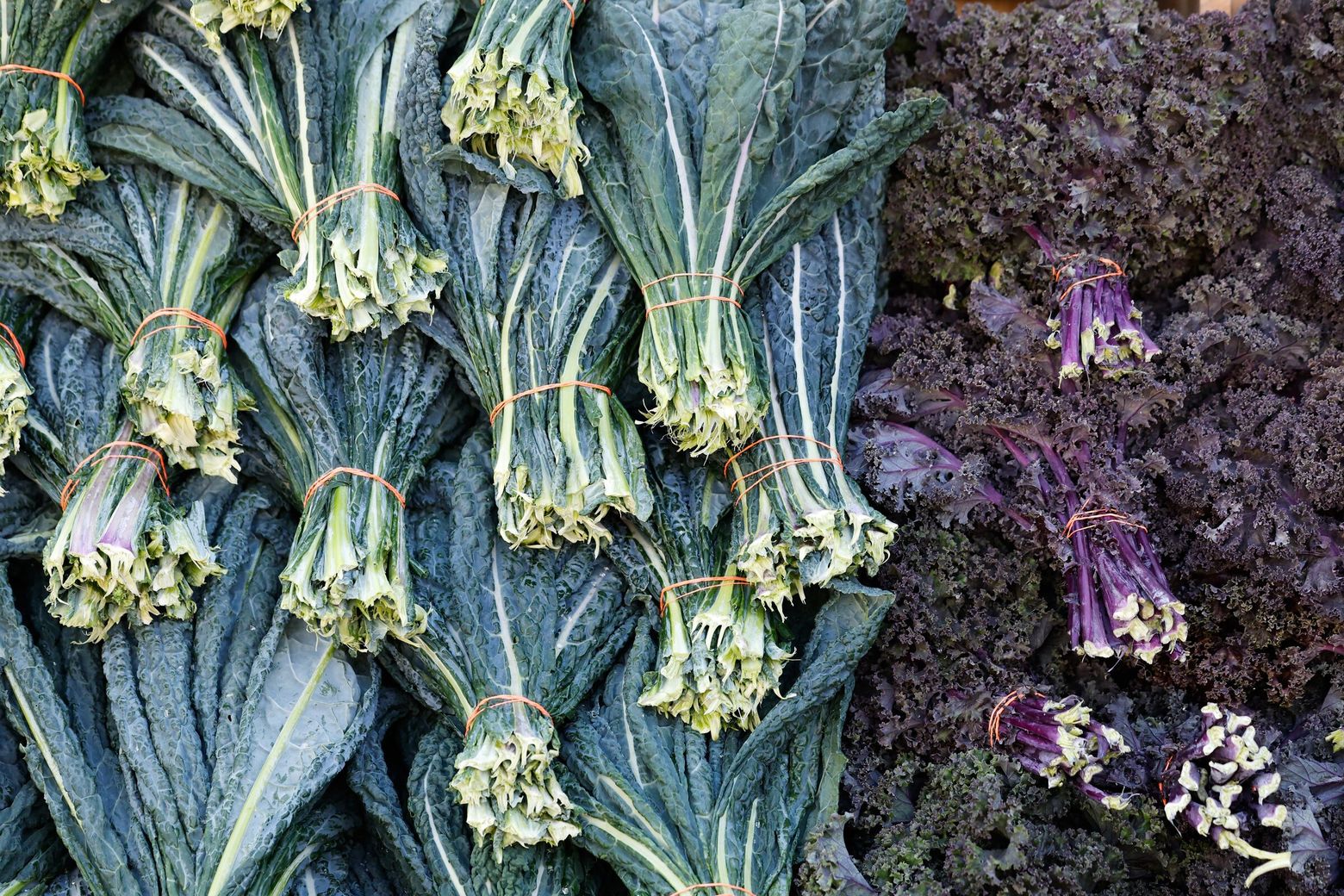 UW study shows how a Seattle program offering cash for produce is ...