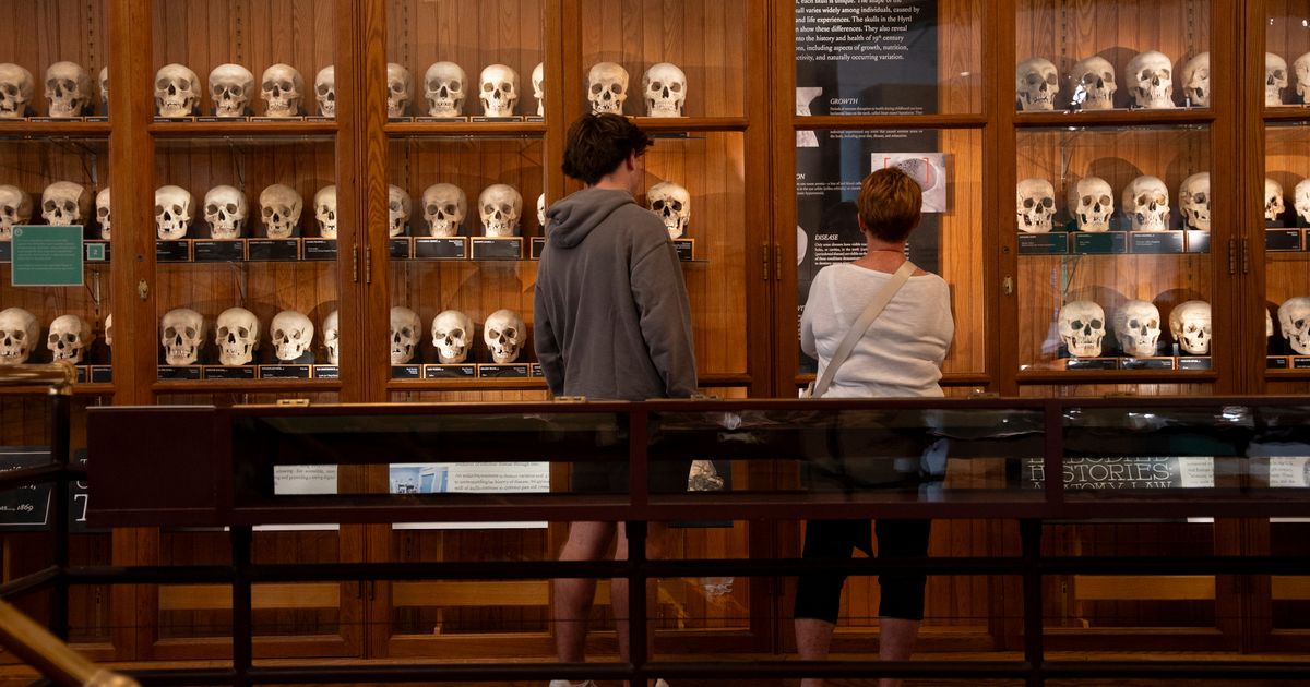 Medical museum in Philadelphia overhauls policies on human remains to ...