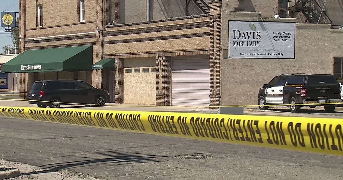 Inspectors find numerous decomposing bodies behind hidden door at ...