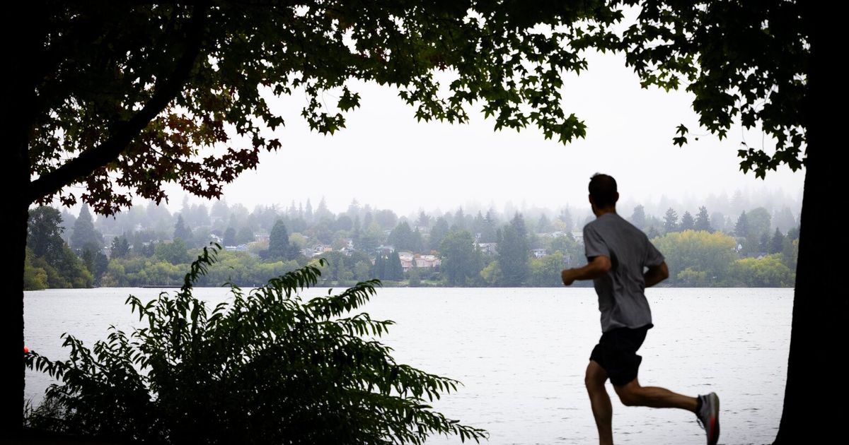Seattle’s city parks and trails just got (somewhat) easier to navigate ...
