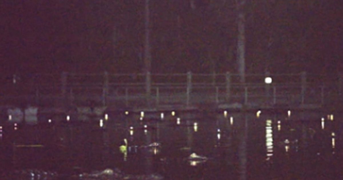 Light focused on dark swamp revealed ‘eyes as far as we could see ...