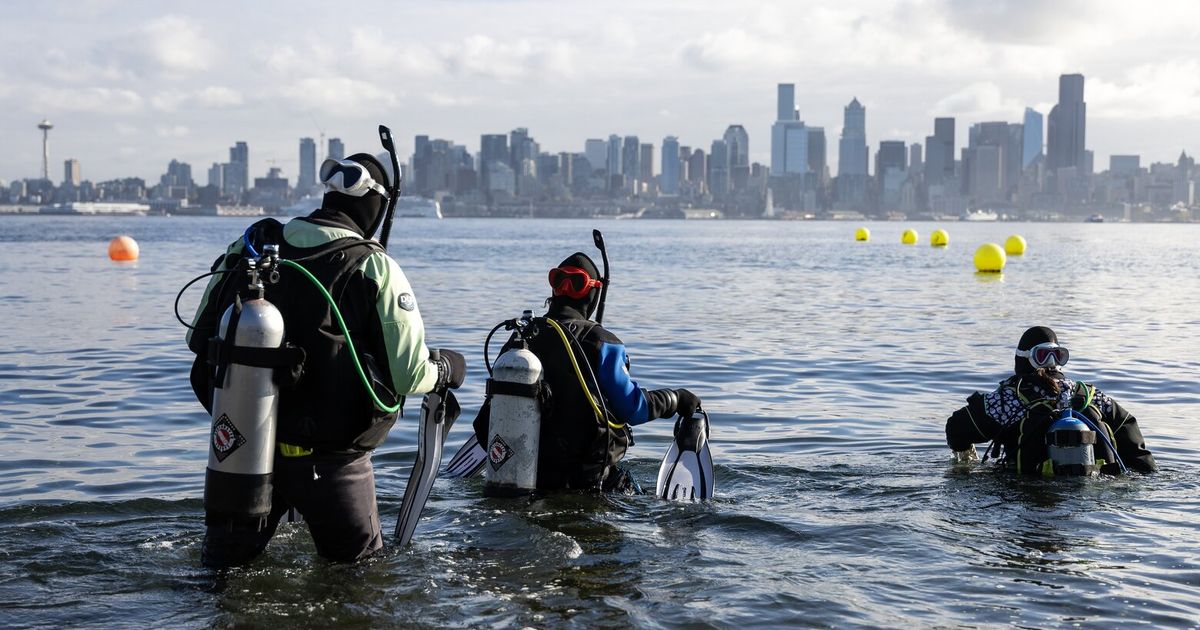 WA coves teeming with sea life lure novice and expert divers | The ...