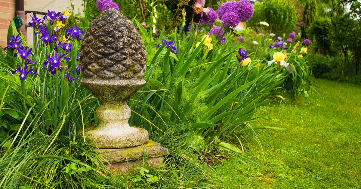 Creating a wild yard | The Seattle Times