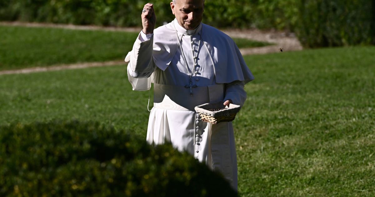 Pope feeds fish as he opens Vatican’s ambitious model of sustainable ...