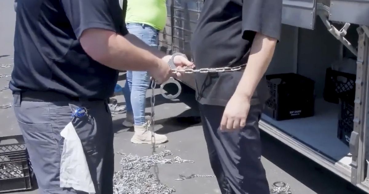 Attorney says detained Korean Hyundai workers had special skills for ...