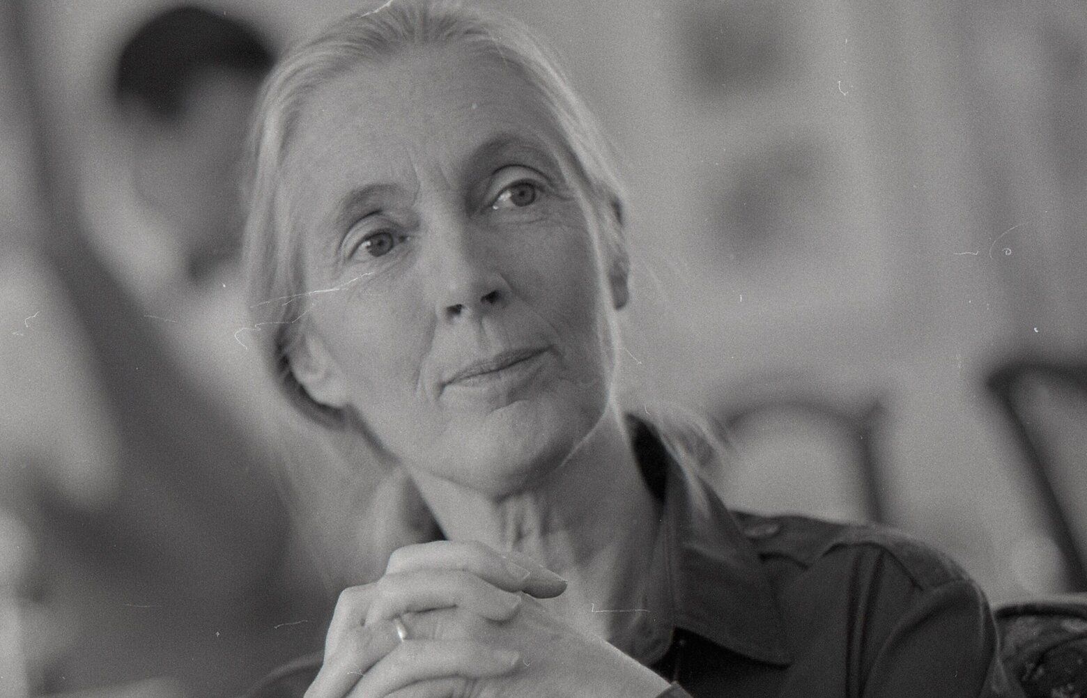 Goodall’s influence spread far and wide. Those who felt it are pledging ...