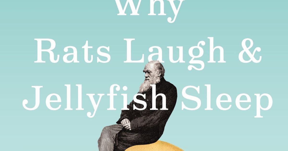Ever wondered ‘Why Rats Laugh’? Read on | The Seattle Times