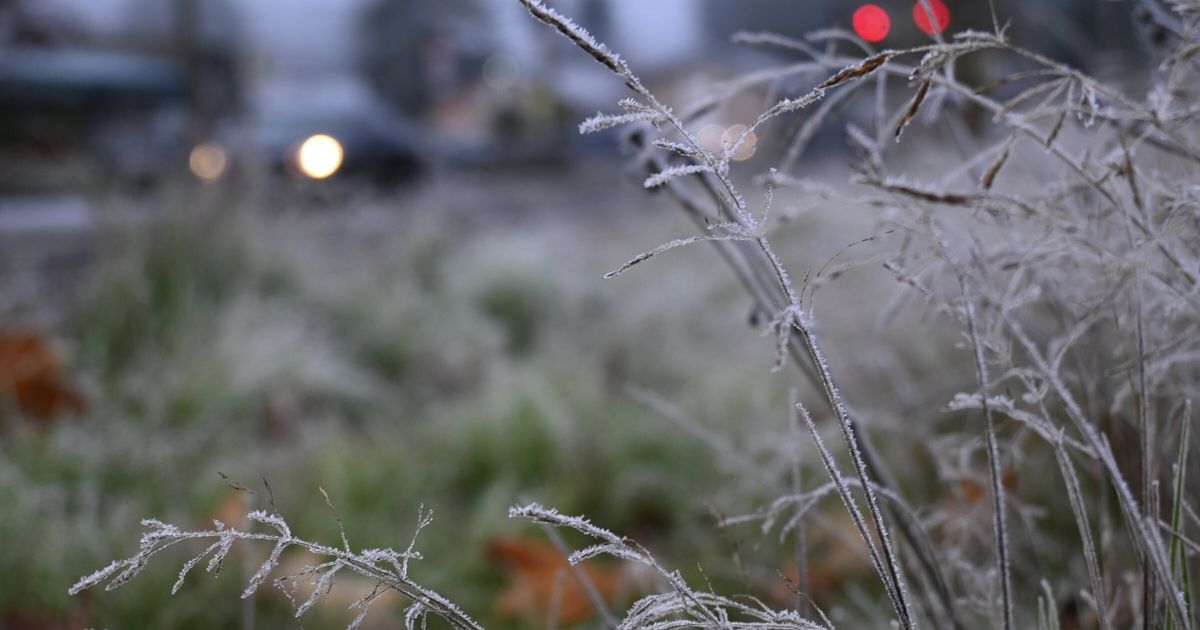 First frost of the year settles in Western Washington | The Seattle Times