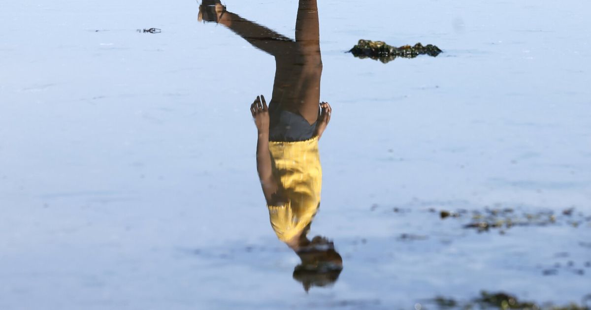 Prop. 1: Levy lift will make Edmonds unaffordable | The Seattle Times