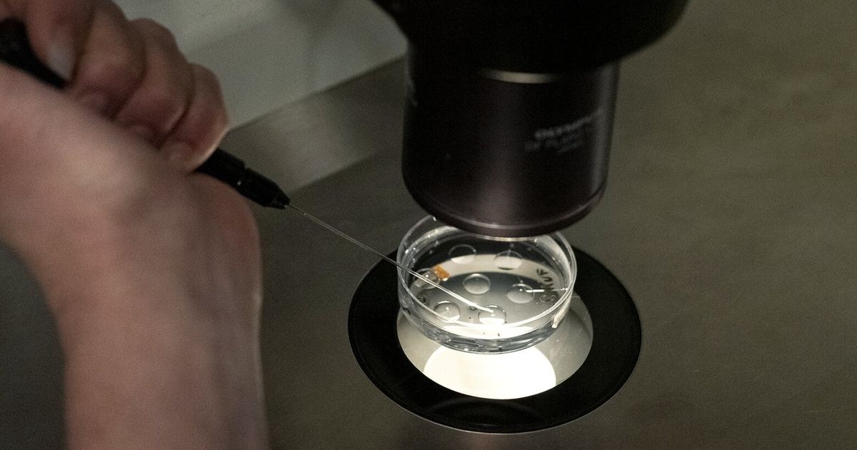 ‘Horrendous error’: Florida couple sues fertility clinic because baby ...
