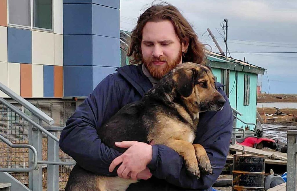 The other Alaska airlift: Volunteers save dogs from a flooded Alaska ...