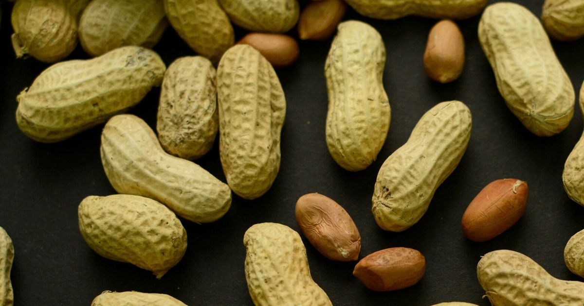 Advice to feed babies peanuts early and often helped thousands of kids ...