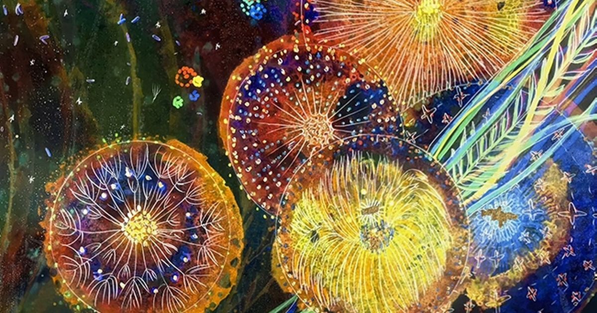 10 must-see Seattle art markets, events and exhibits in November | The ...