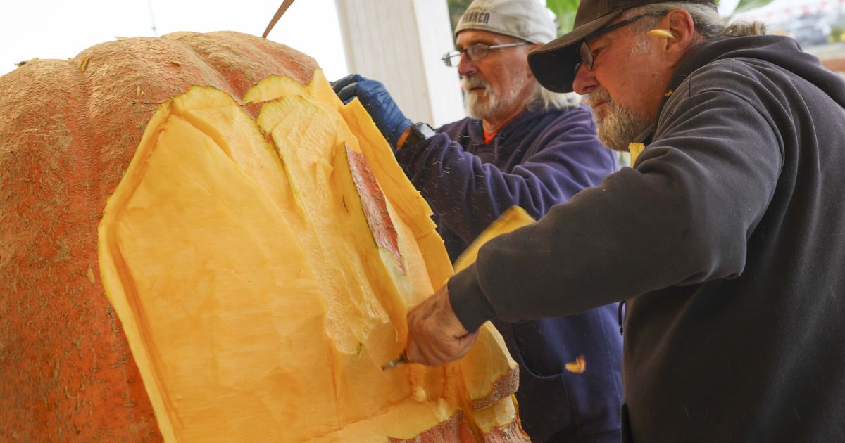 How a WA carver turns giant pumpkins into intricate art | The Seattle Times