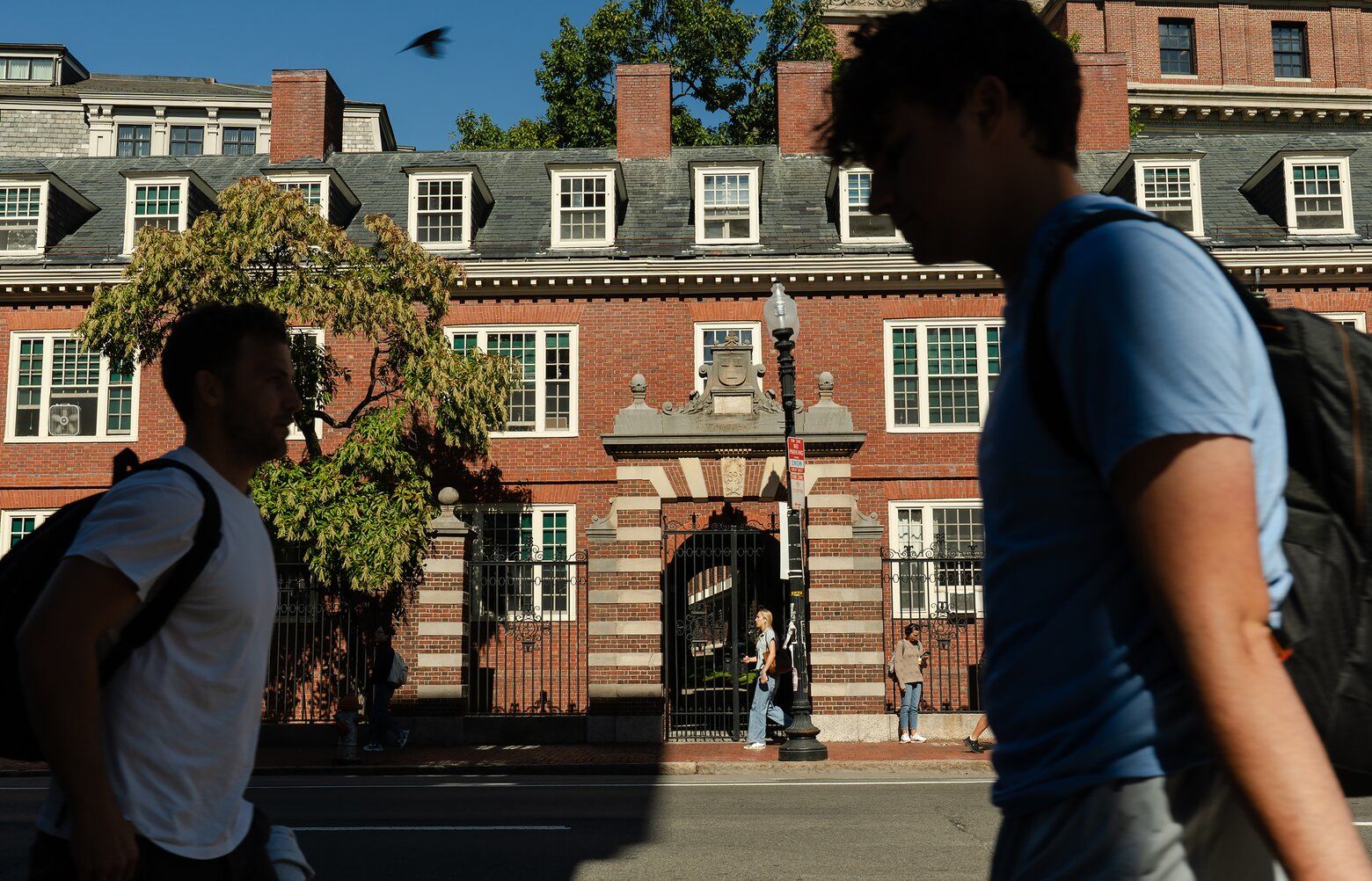 Black enrollment is waning at many elite colleges after affirmative ...