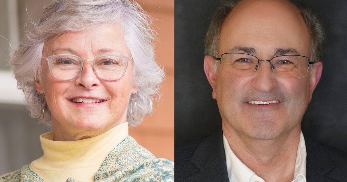 Sarah Perry, Rob Wotton face off in District 3 King County Council race ...