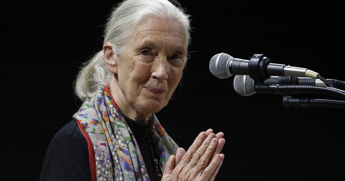 Environmentalists, politicians, celebrities recall life and influence ...