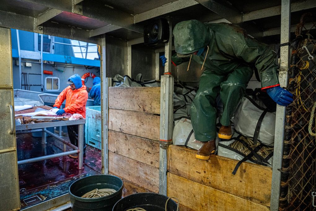 WA and Alaska halibut fishing crews see troubling signs in recent ...