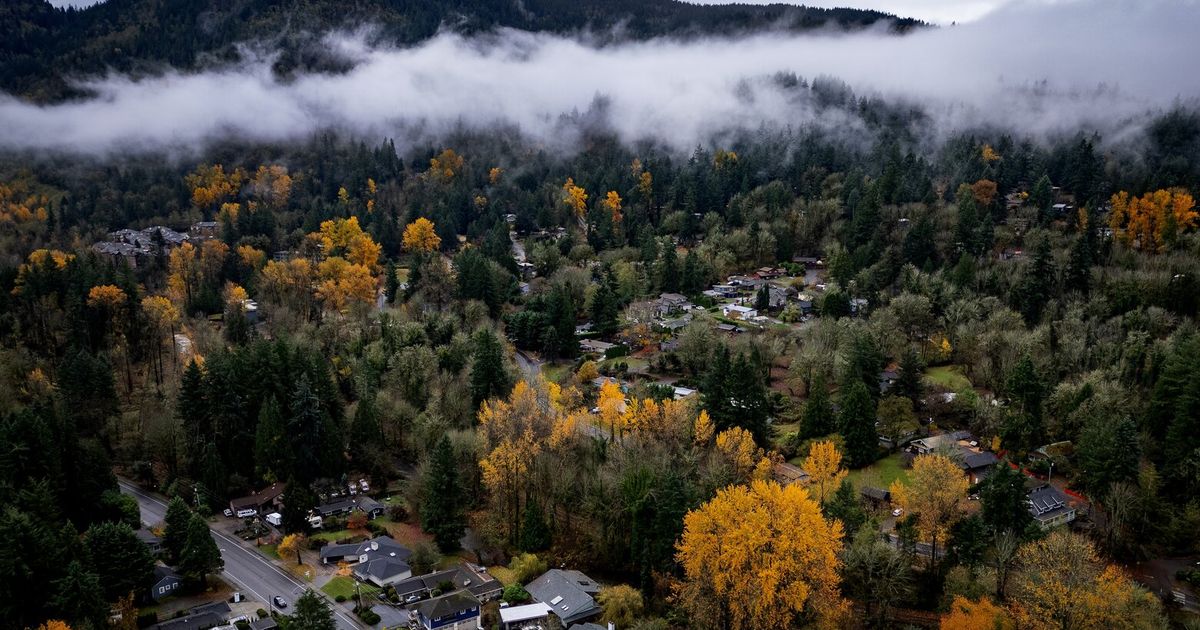 Autumn scene in Issaquah | The Seattle Times