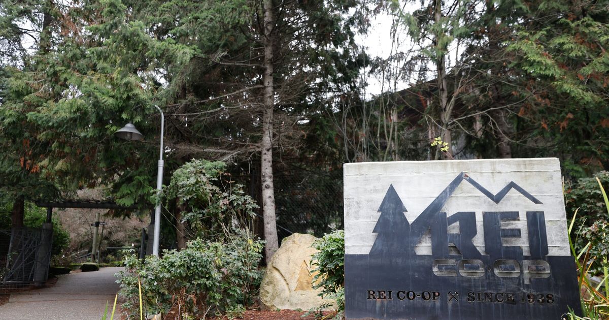 Pack your bags: REI brings back travel experiences for its members ...