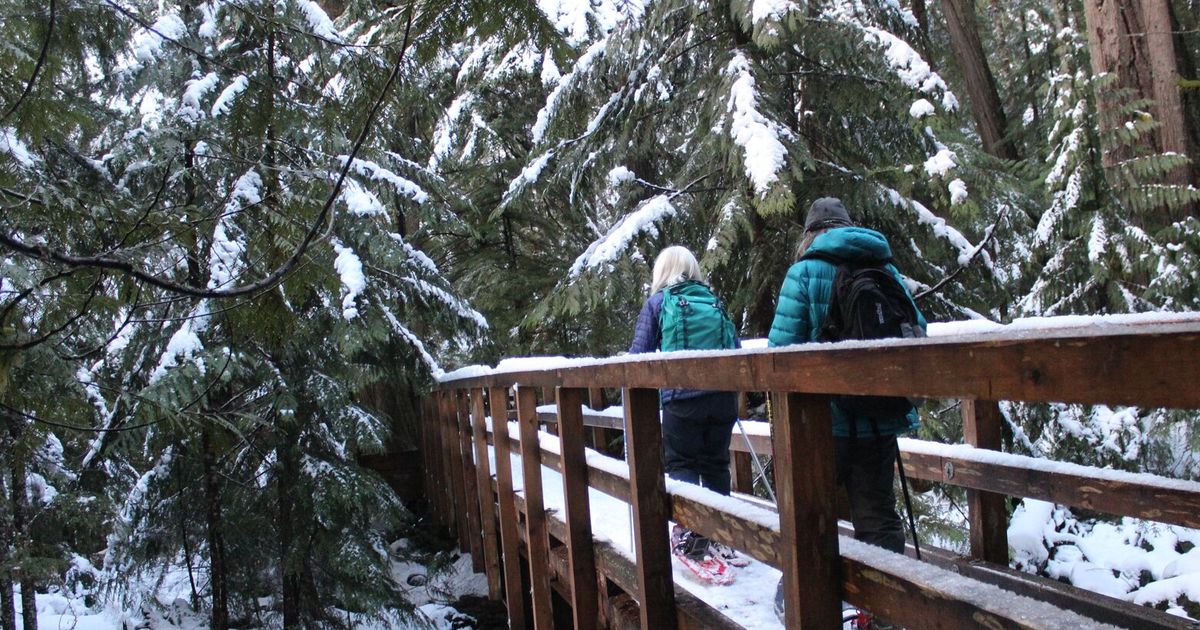 WA snowshoe trails: 5 underrated ones to do this winter | The Seattle Times